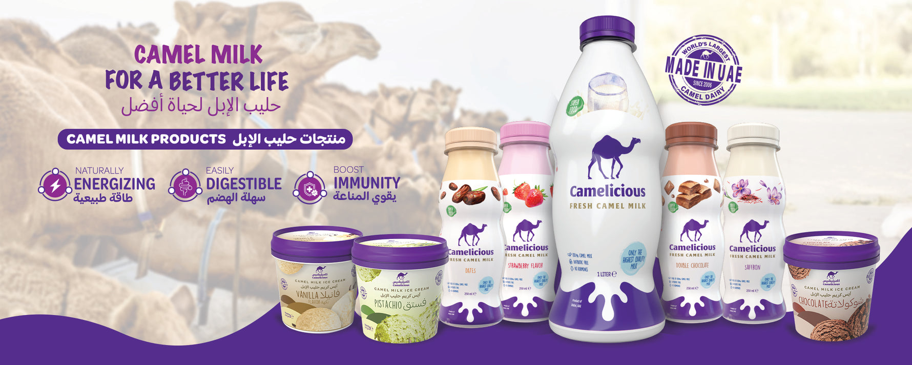 camelicious-uae