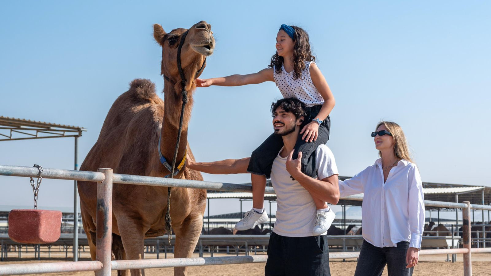 Book a Camel Farm Tour Dubai | Camelicious Experience – Camelicious UAE